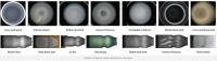 China Energy-Efficient Cameras Inspection System Bottle Fill Level Detection with Edge Computing Unit for sale