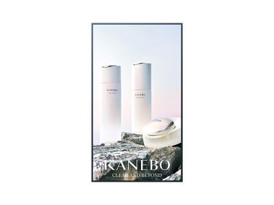 China 65 Inch Smart Dimming Outdoor Digital Signage 4000 Nits Commercial Window Display for sale
