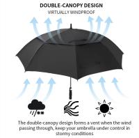China UV Protection Lightweight Wind Resistant Foldable Umbrella with Double Fold Design for Travel and Outdoor Activities for sale