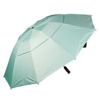China 2 Folds Collapsible Sun Umbrella Compact Umbrella With Metal Fibreglass Rib for sale
