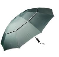 China Windproof Strong Foldable Umbrella Lightweight Folding Umbrella For Adults for sale