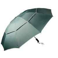 China Windproof Strong Foldable Umbrella Lightweight Folding Umbrella For Adults for sale