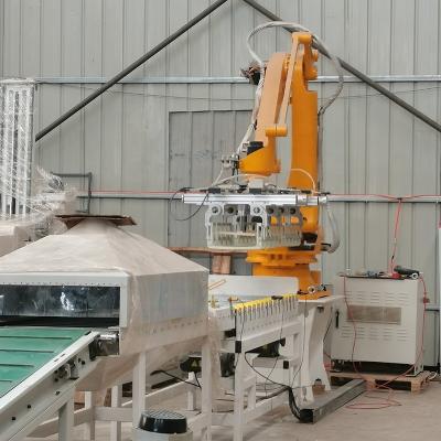 China Automatic Paper Box Robotic Arm Palletizer Muddy Powder Palletizing Robot for sale