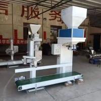 China Electric Open Mouth Bag Packing Machine 700kg Capacity for Dry Mortar Powder for sale