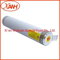 China HV Ceramic Tube Fuse 3.6kv 7.2kv 10kv 12kv 22kv 24kv 33kv 35kv 36kv 40.5kv for sale