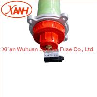 China Transformer Barrel Fuse 15.5Kv for sale
