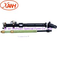 China 15.5kV 24kV Electric Transformer Fuse Elsp Fuse Overload Protection Cbuc23125D100 for sale
