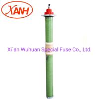 China High Voltage Limit Current Bay O Net Fuse 23Kv Insert Installation Cbuc23065c100m for sale