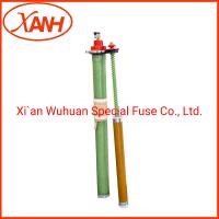 China 17.5Kv Capacitor Bank Fuse Insert Installation Xrnt (XDR20) -40.5 for sale