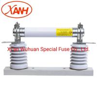 China Oil Immersed Transformer Barrel Fuse Elsp Fuse 8.3Kv 83K065-A1 for sale