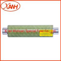 China Germany DIN Standard High Voltage Fuses Motor Protection Fuse Xrnt4-15.5/50 for sale