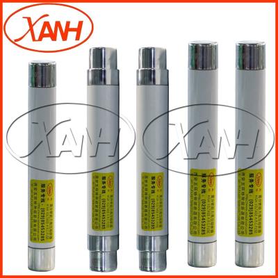 China Overload Protection Electric Transformer Fuse 24kv Fuse Xrnt4-24/16 for sale