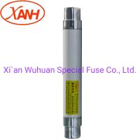 China Durable Good Conductivity Xrnt Indoor Fuse Of Transformer 24Kv for sale
