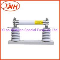 China High Voltage Fuse DIN IEC Xrnt Sdljd-7.2/31.5 for Indoor AC 50Hz 7.2kv-24kv for sale
