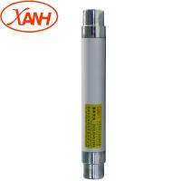 China Sdldj-12/25 VDE Certified Insert Installation Electric Transformer Fuse 12Kv for sale