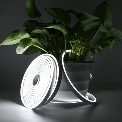 China 20×10mm LED Neon Flex Light , Waterproof IP67 Flexible Neon Light Rope for sale