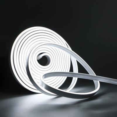 China Digital RGB Flex Neon LED Strip Light IP68 For Outdoor Decoration OEM for sale