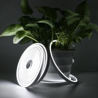 China Digital RGB Flex Neon LED Strip Light IP68 For Outdoor Decoration OEM for sale