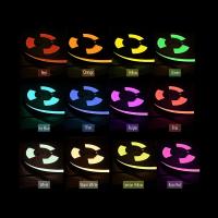 China RGBW 12V LED Neon Flex Light , LED Silicone Neon Strips 7mm X 14mm For Wedding for sale