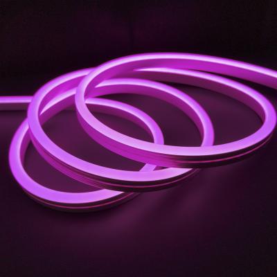 China Multicolor LED Neon Flex Light Strip IP65 12 Volt 24 Volt For Decoration for sale