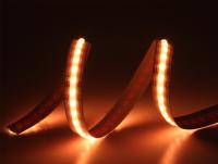 China Flexible RGBW COB LED Strips 12MM DC24V 560 Leds / M For Decoration for sale