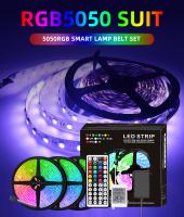 China Atmosphere Smart LED Strip Lights 5050 RGB Colorful With Music Voice Control for sale