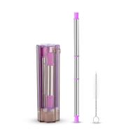 China Reusable Stainless Steel Drinking Straws 23cm Collapsible with Case Food Grade Portable for sale