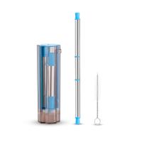 China Reusable Stainless Steel Drinking Straws 23cm Collapsible with Case Food Grade Portable for sale