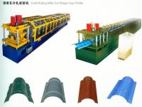 China Big Round Ridge Capping Cold Roll Forming Machine with Panasonic PLC Control | 5-10m/min Speed | 16 Stations for sale