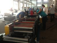 China Hydraulic Cutting Roll Forming Equipment M Shape with Chain Transmission for sale