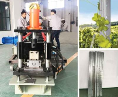 China Siemens Motor Hot Selling Vineyard Post Roll Forming Machine 200mm Feeding Width for sale