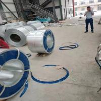 China Ral1013 PPGL  Steel Coil G40 Precoated Zinc Coating Galvanized Steel Coil PPGI for sale