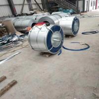 China Ral1013 PPGL  Steel Coil G40 Precoated Zinc Coating Galvanized Steel Coil PPGI for sale