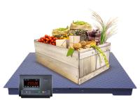 China 2M RS232 LED Portable Floor Scale Carbon Steel for sale