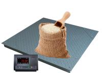 China 1.5M Stainless Steel Platform Scale , 1 Ton Platform Weighing Scale for sale