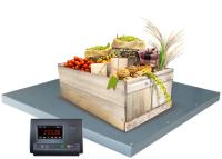 China 5000Kg Stainless Steel Floor Scales for sale