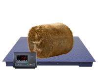 China 3000KG LCD Electronic Industrial Floor Pallet Scale for sale
