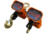 China High  Accuracy waterproof 10T Hanging Crane Scale for sale