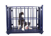 China Portable 3T Livestock Weighing Scales Carbon Steel for sale