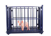 China Portable 3T Livestock Weighing Scales Carbon Steel for sale