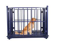 China Electronic OEM 150kg 1M Livestock Scales For Cattle for sale
