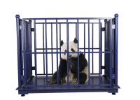 China Rechargeable 2000kg Animal Weighing Scales Carbon Steel for sale