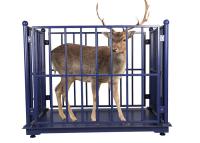 China 1000kg Livestock Weighing Scales for sale