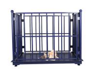 China Electronic 5T Dynamic Livestock Weighing Scales for sale