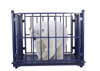 China 3000kg Livestock Scales For Cattle , 60HZ Sheep Weighing Scales for sale