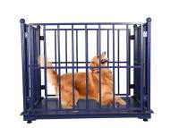 China 3000kg Livestock Scales For Cattle , 60HZ Sheep Weighing Scales for sale