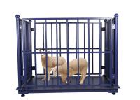 China Electronic 5T Dynamic Livestock Weighing Scales for sale