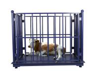 China Dynamic ODM 100Kg Weighing Scale For Live Pigs for sale