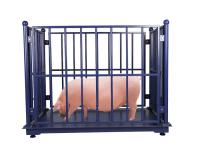 China Dynamic ODM 100Kg Weighing Scale For Live Pigs for sale
