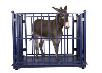 China KELI LCD Cattle Weighing Scales Carbon Steel With Locks for sale